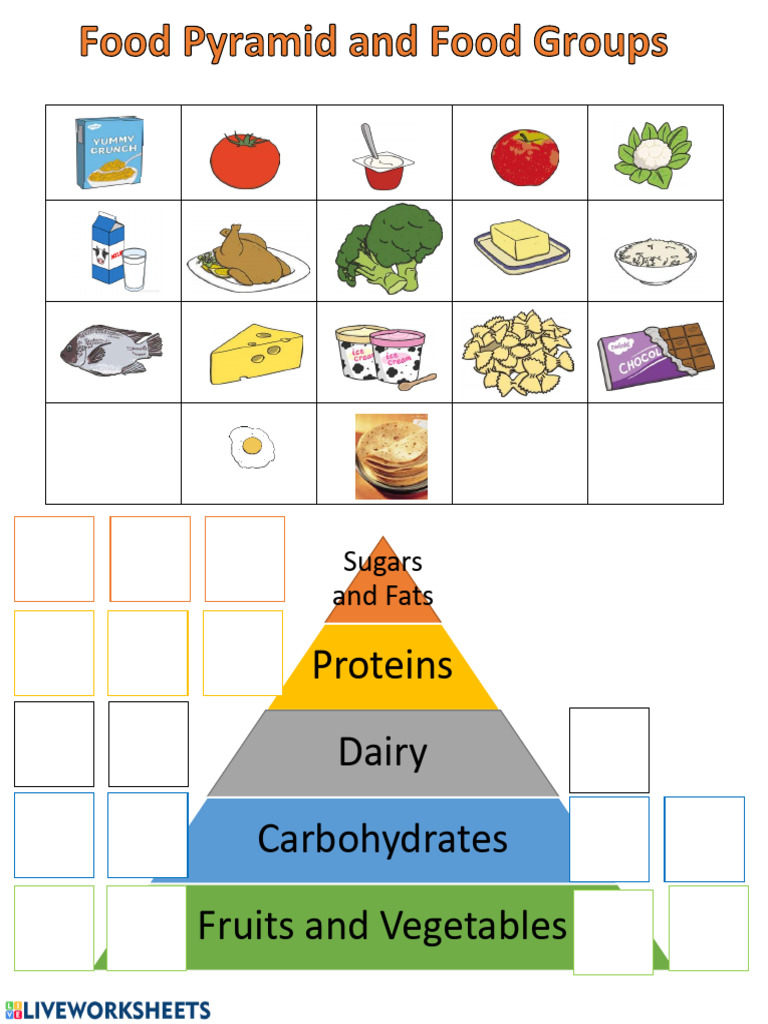 Food Pyramid Exercise | PDF