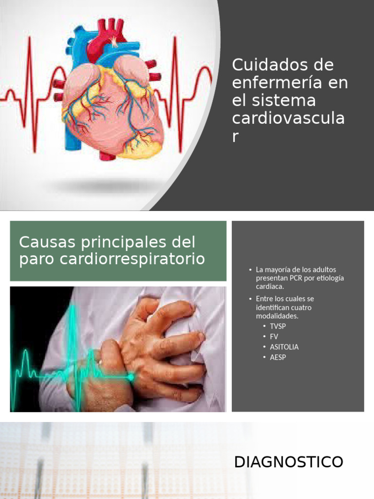 Cuidados de Enfermería en El Sistema Cardiovascular | PDF