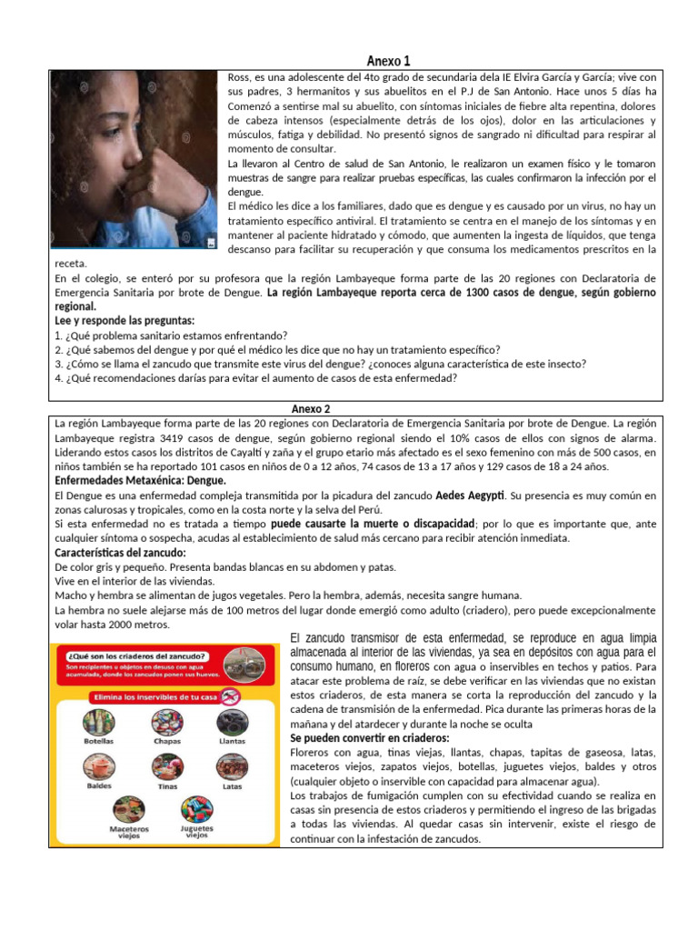 Ficha de Dengue | PDF