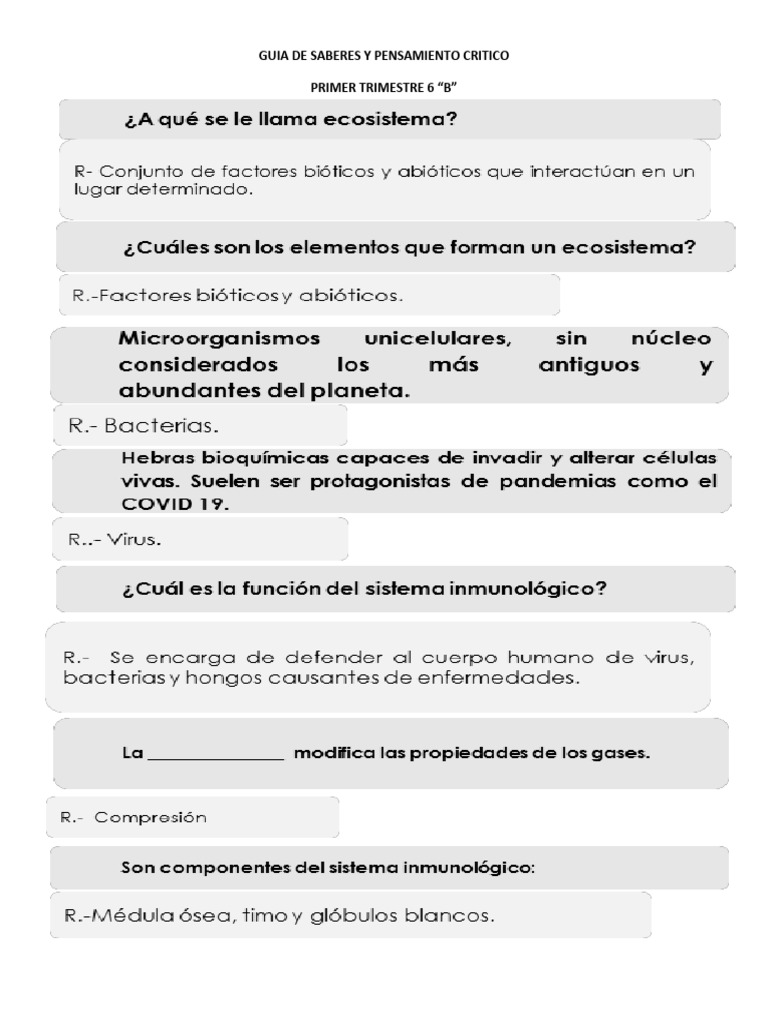 GUIA DE SABERES Y PENSAMIENTO CRITICO PRIMER TRIMESTRE | PDF