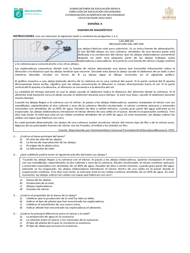 Español II Examen | PDF