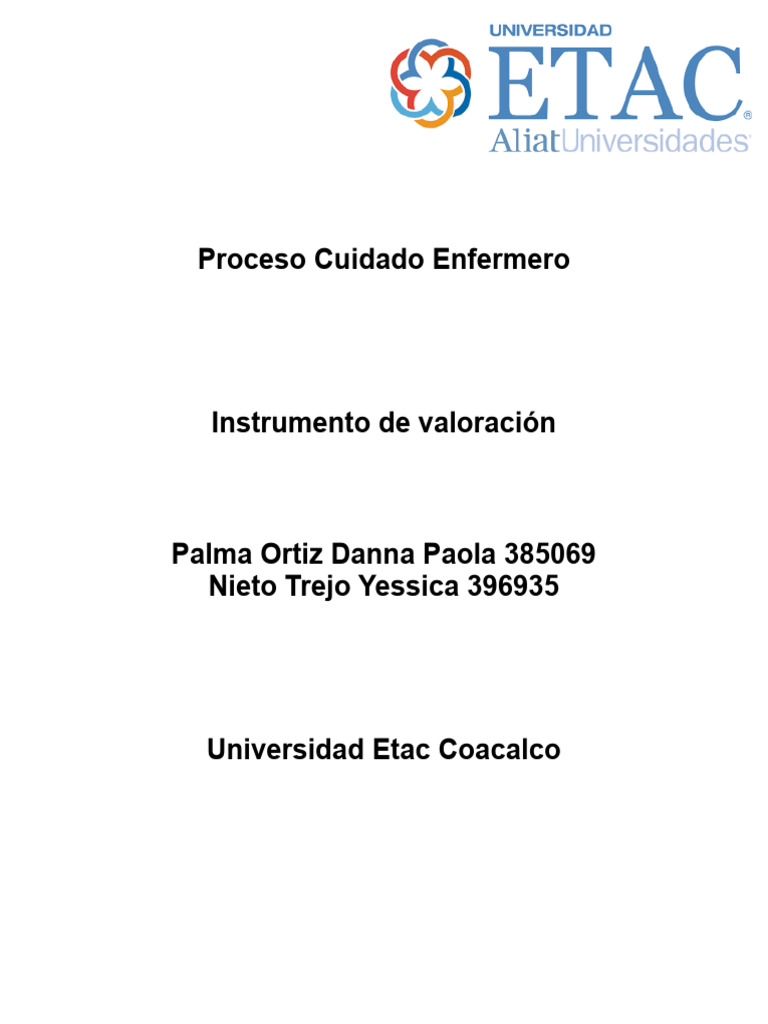 Instrumento de Valoracion - DPPO, YNT 22 | PDF