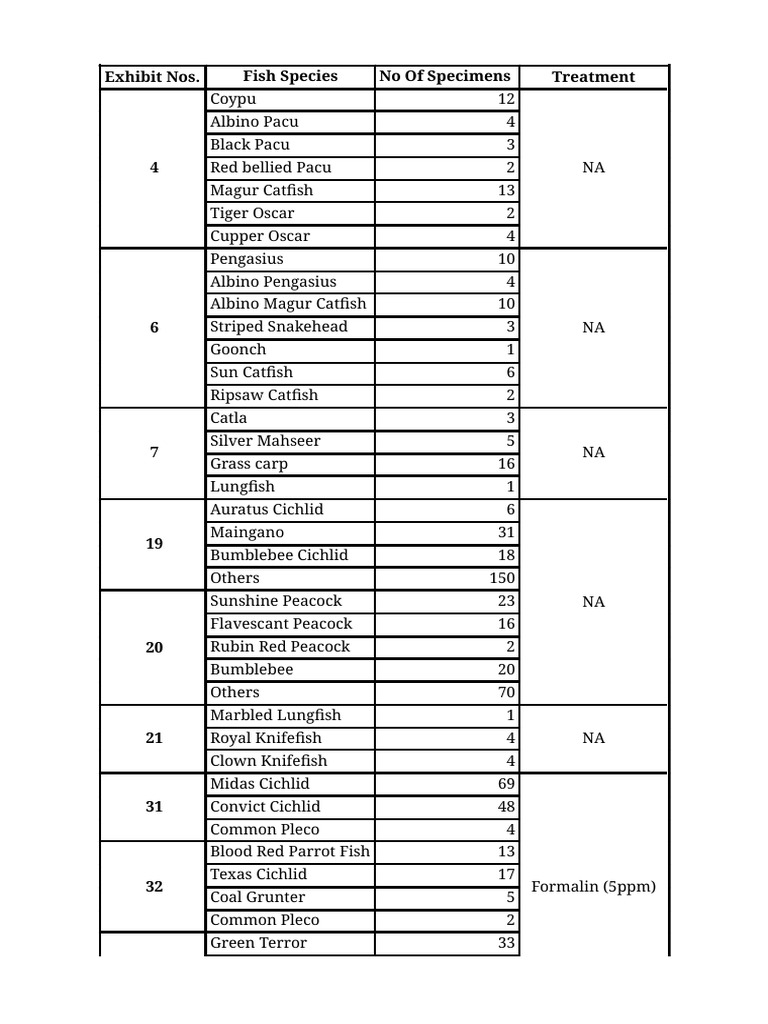 Netra-Exhibit Details | PDF