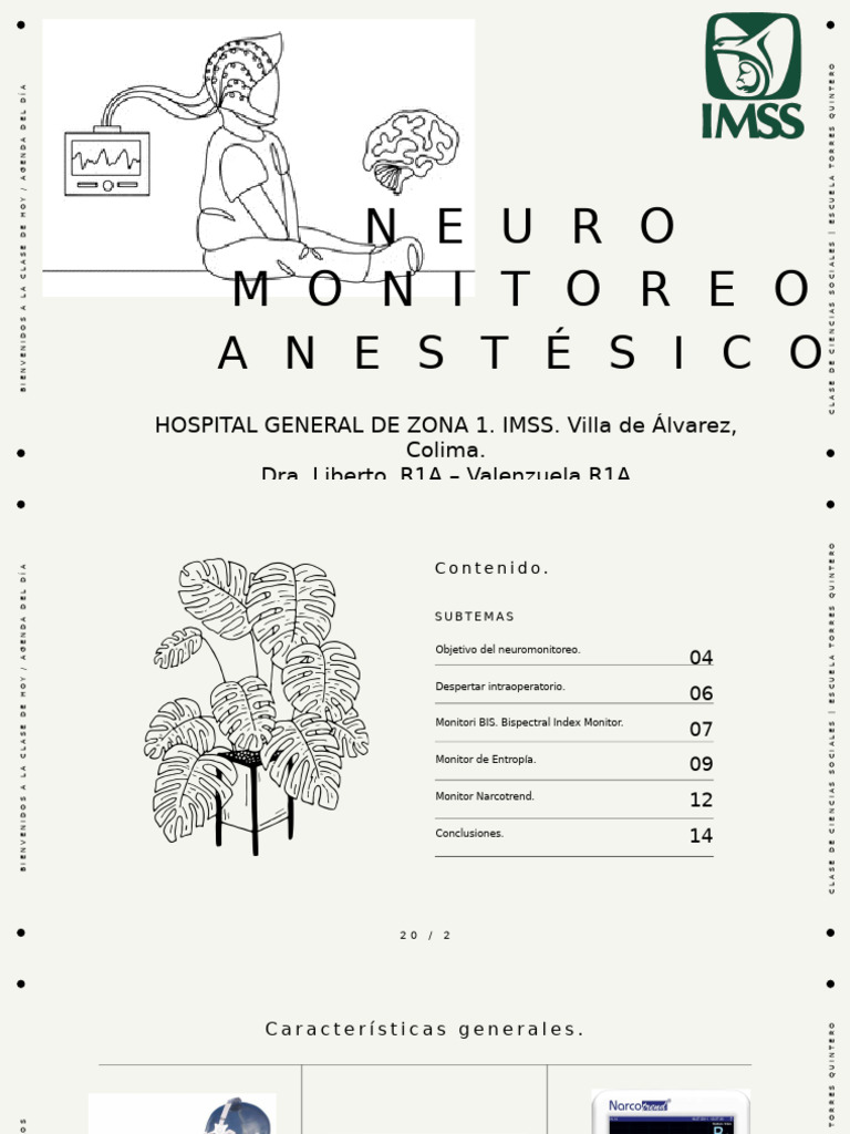 Neuro Monitor Eo | PDF