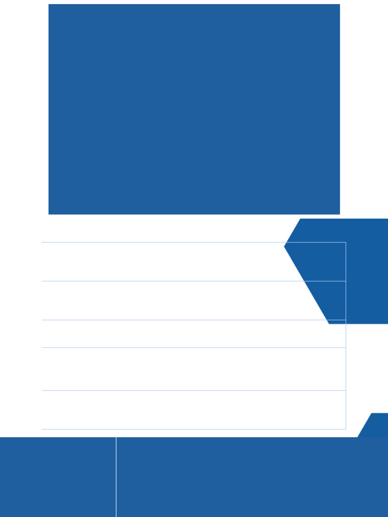 Digital Financial Strategy in Laos | PDF | Infrastructure | Business