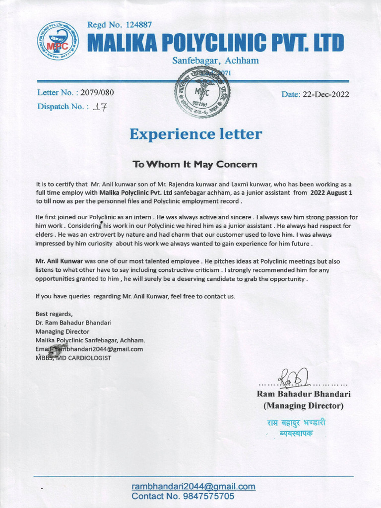 Work Experiences sample - Copy | PDF