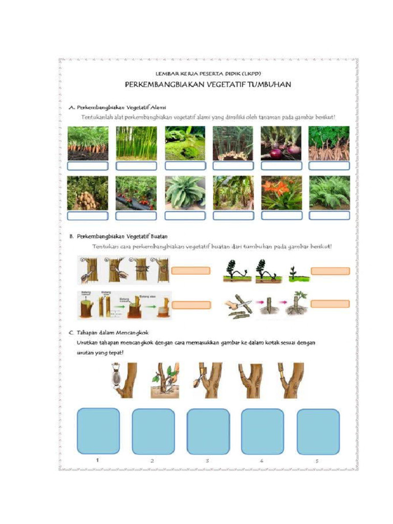 LKPD Perkembangbiakan Tumbuhan | PDF