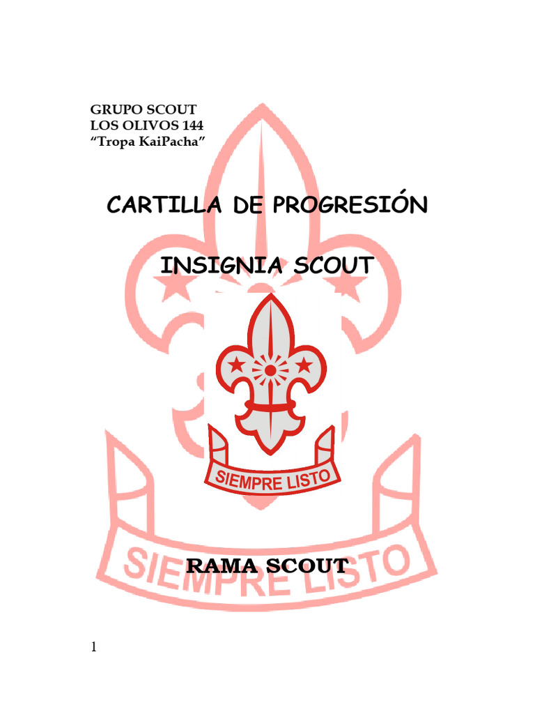 Cartilla de Progresion Insignia Scout144 | PDF