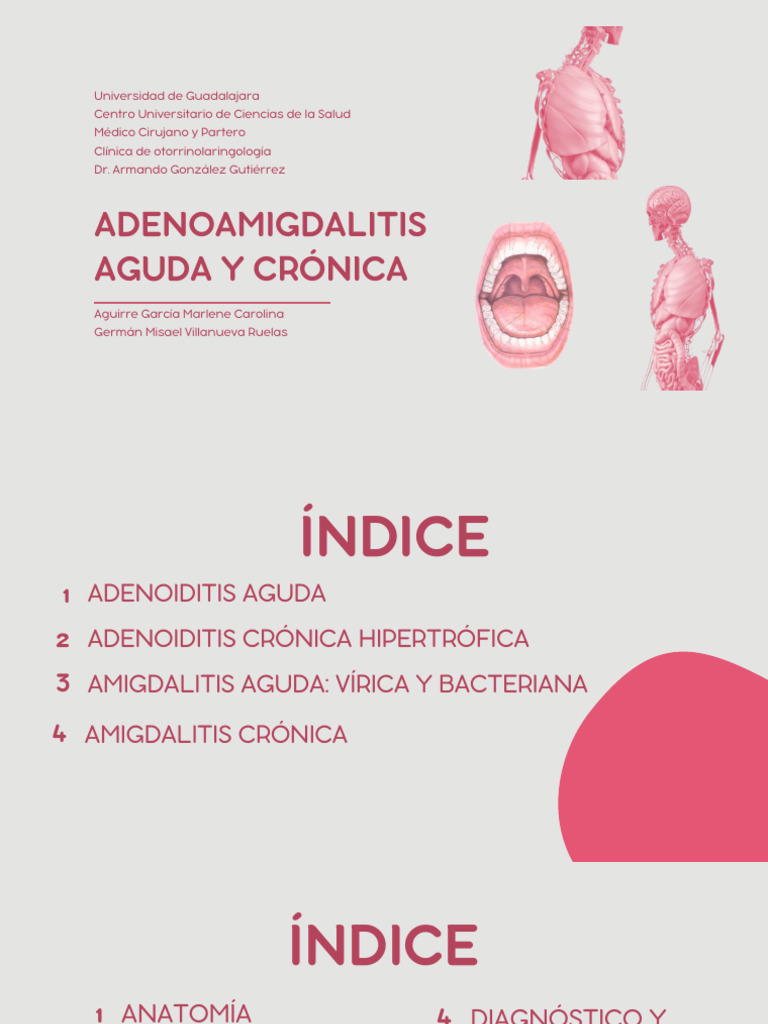 Adenoamigdalitis: Diagnóstico y Tratamiento | PDF | Linfocitos | Célula T