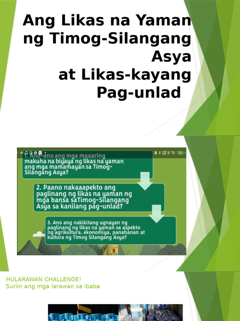 Ang Likas Na Yaman NG Timog-Silangang Asya | PDF