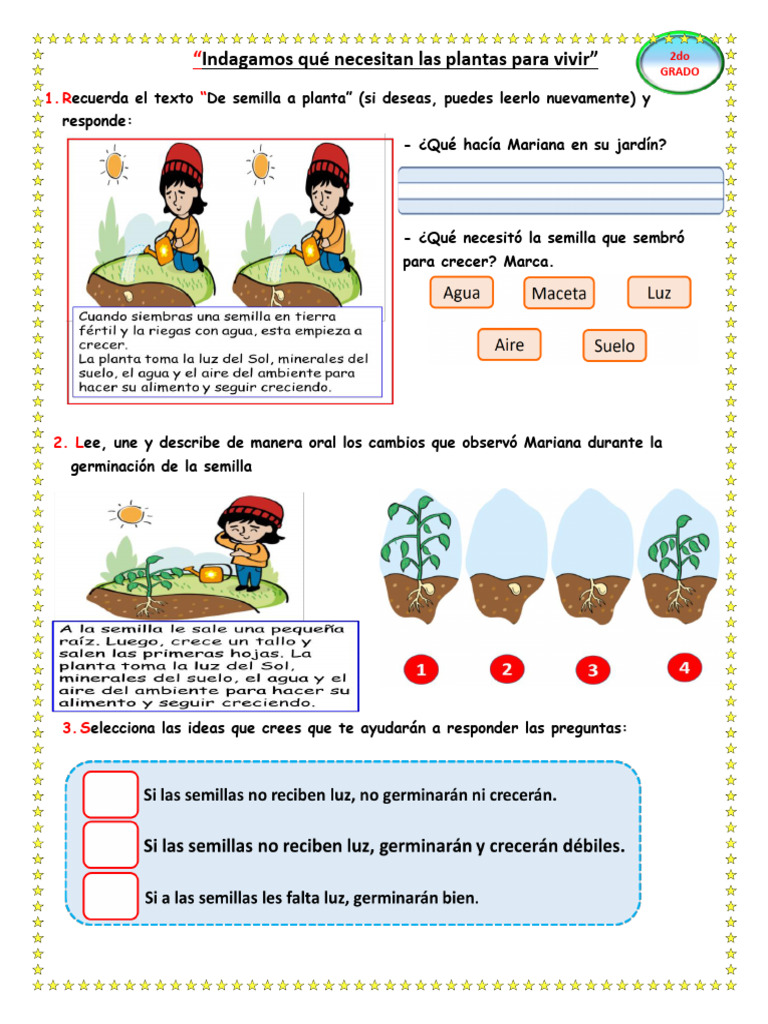 FICHA CIENCIA Y TECNOLOGÍA 08 - 08 Que Necesitan Las Plantas para Vivir ...