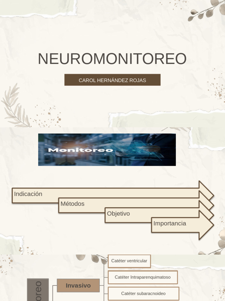 Neuro Monitor Eo | PDF