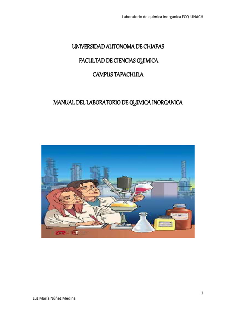 Manual de Practica Inorganica | PDF