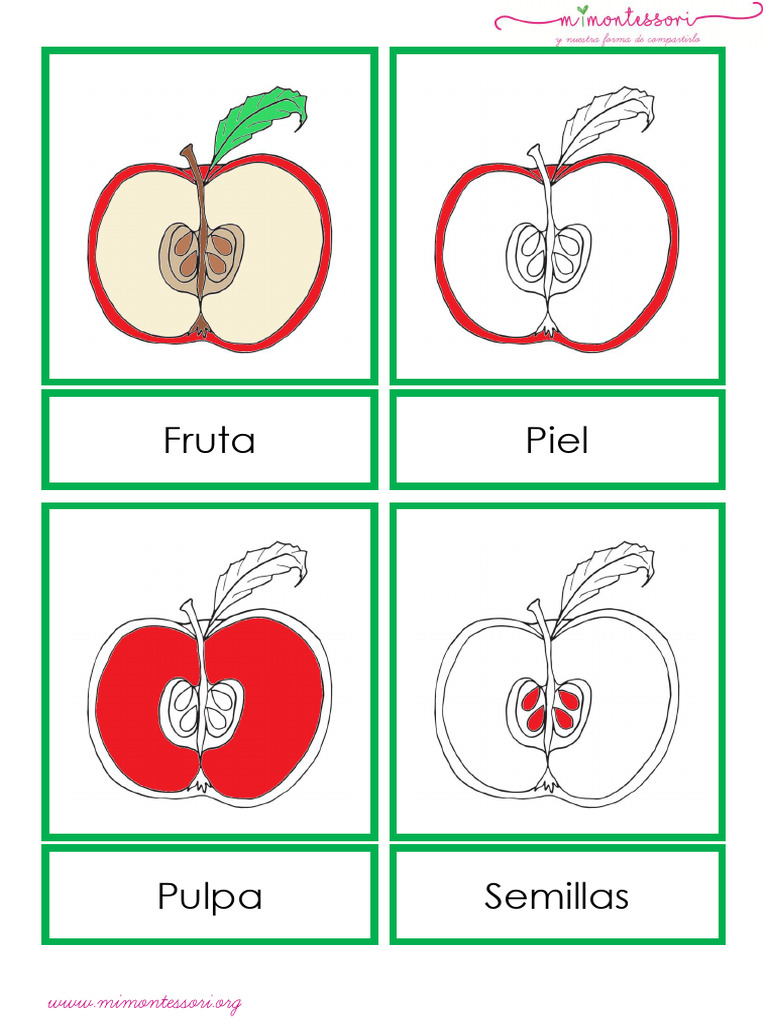 Partes de La Fruta Letra Imprenta | PDF