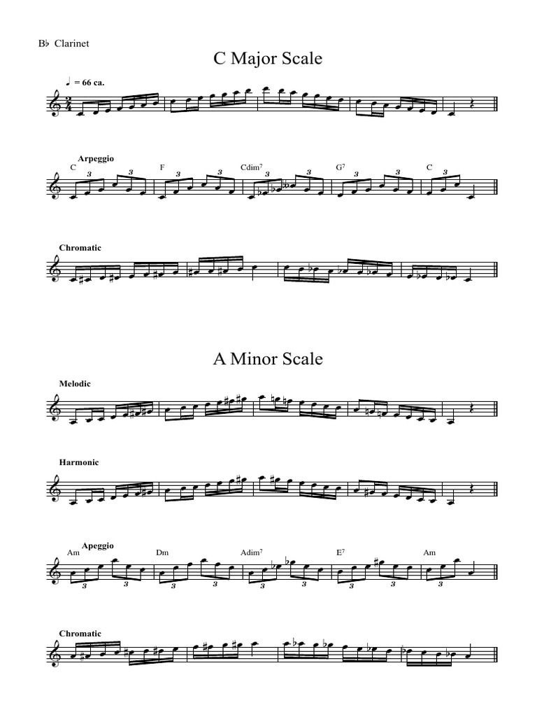 Scale -2009 (RTASM) - Bb Clarinet | PDF