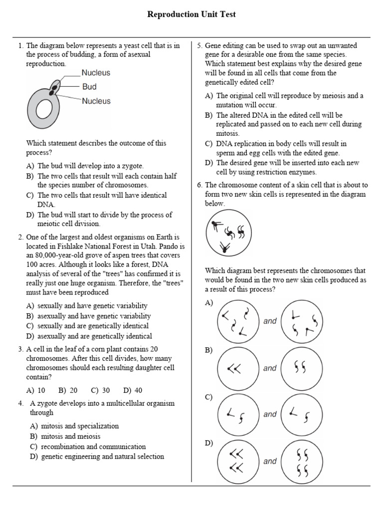 Reproduction Unit Test 2022 | PDF