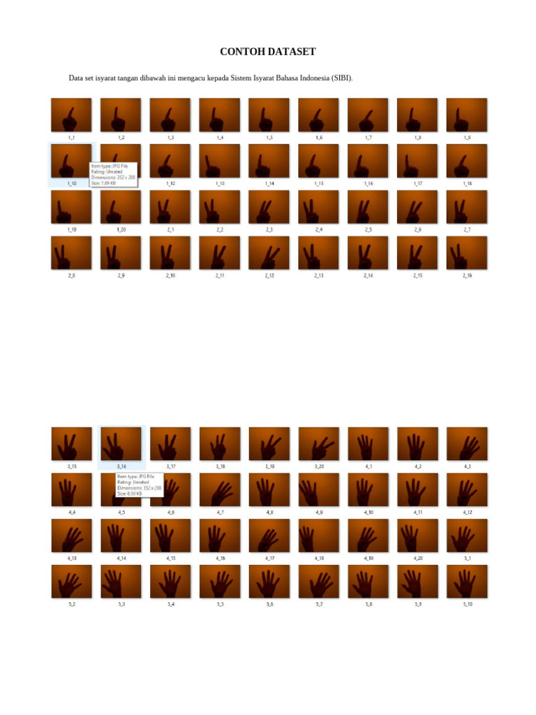 Contoh Dataset | PDF