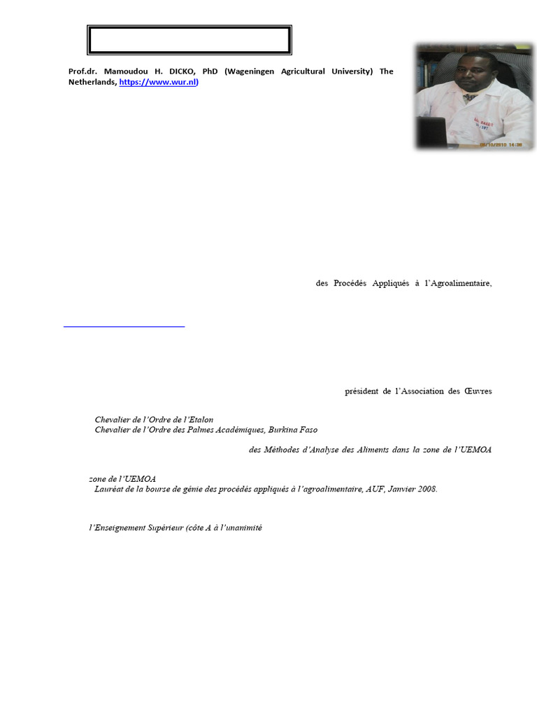 CV Dicko French Juin 2024 | PDF CV Dicko French Juin 2024 | PDF