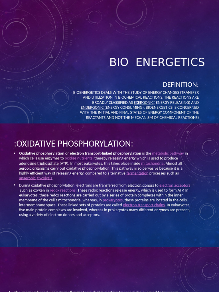 Bio Energetics | PDF