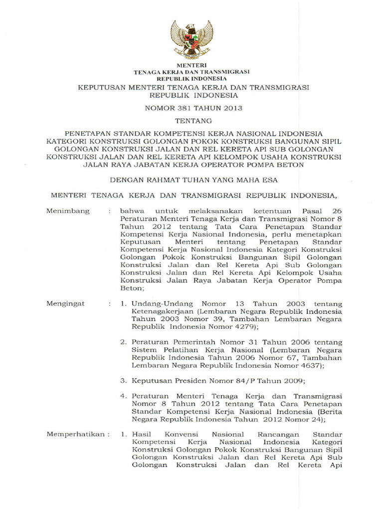 Skkni 2013-381 PDF | PDF