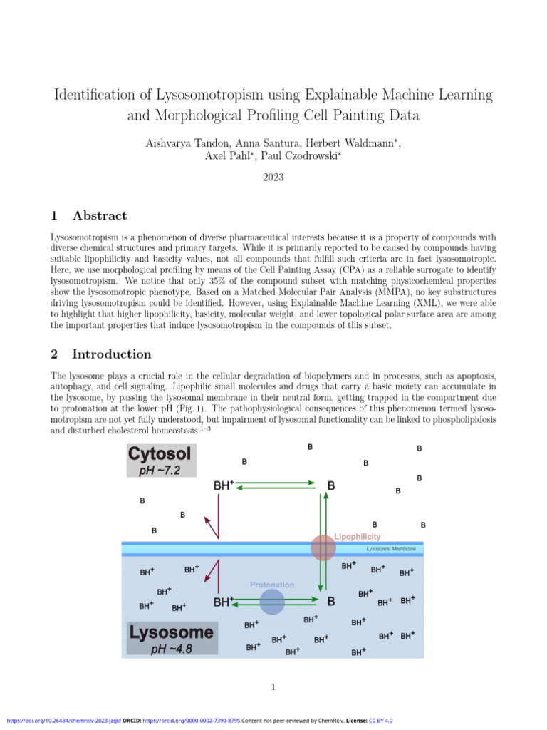 Identification of Lysosomotropism Using Explainable Machine Learning and Morphological Profiling ...