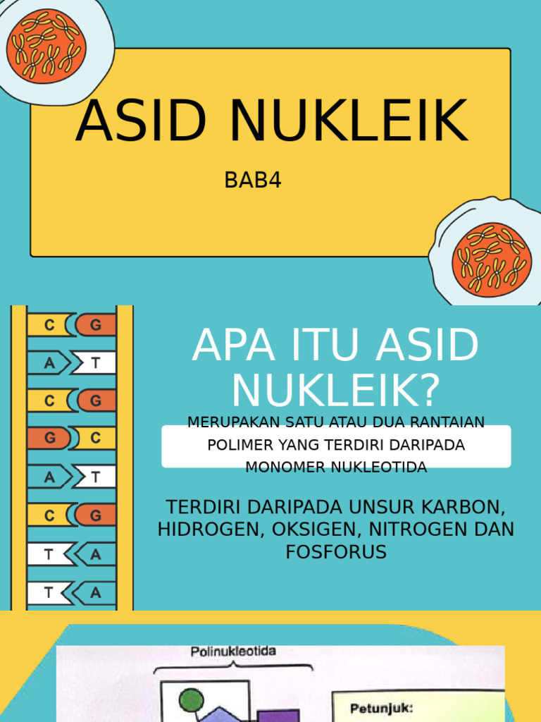 Asid Nukleik | PDF