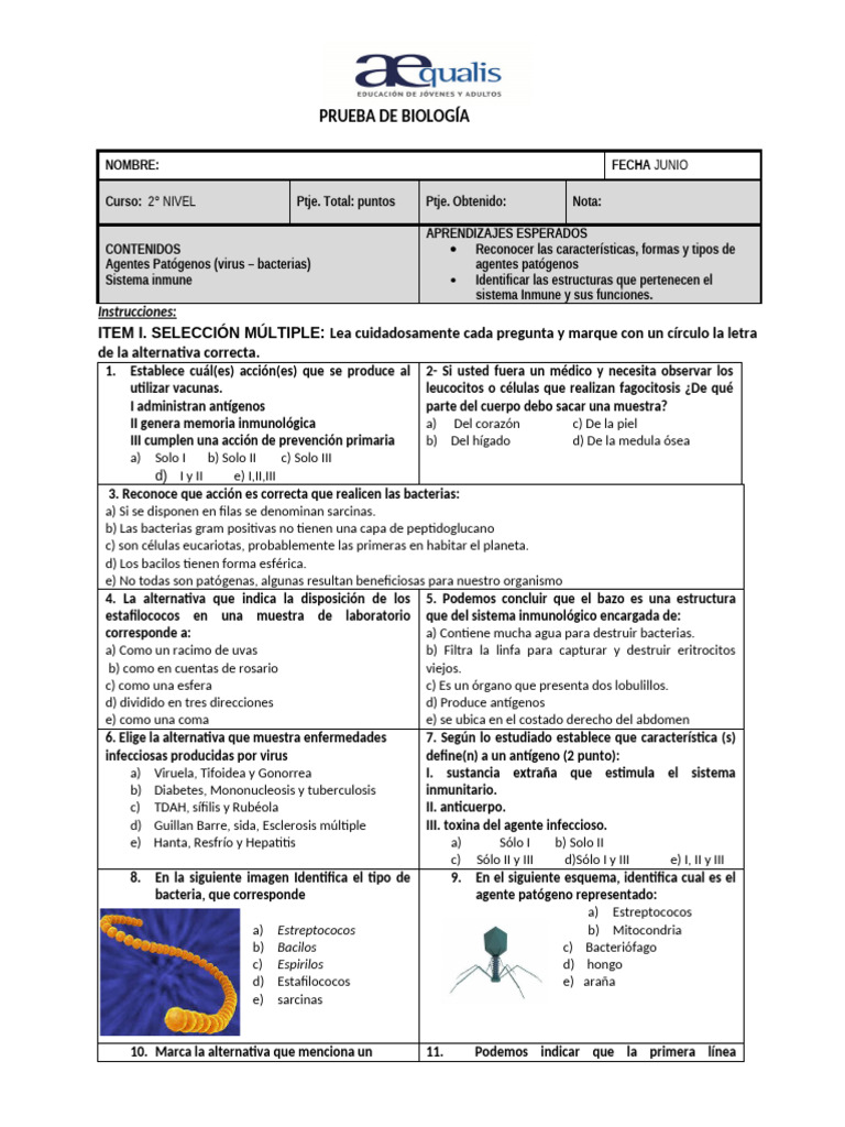 Prueba S. Inmune 2024 | PDF