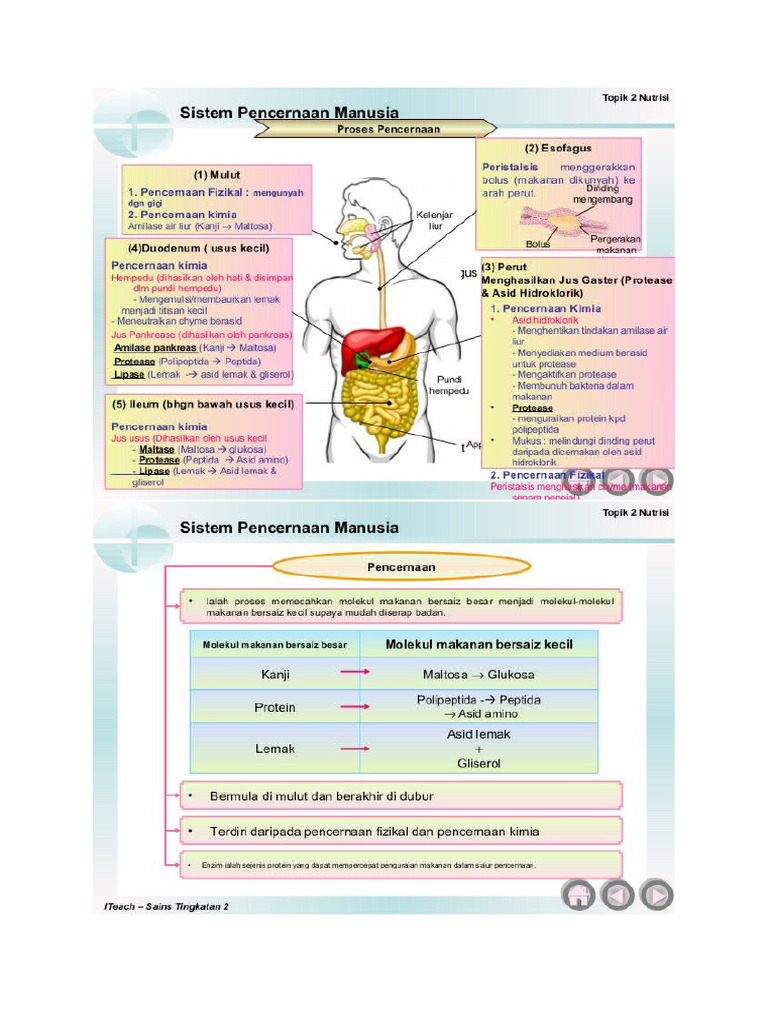 Surat Iringan JPPH | PDF