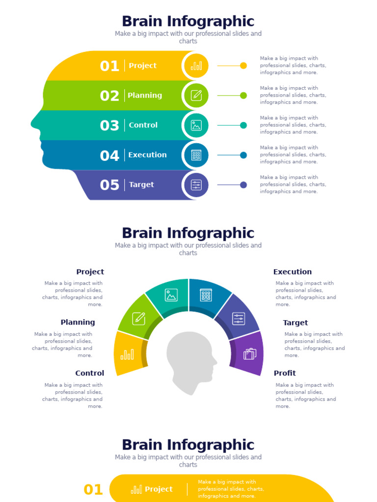 Brain Infographics | PDF