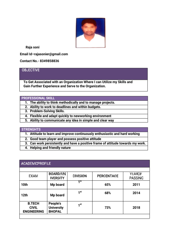 CV New Raja Soni | PDF