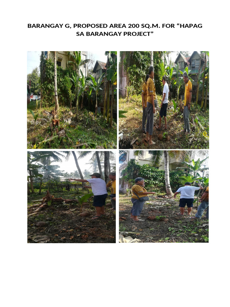 Hapag Proposed Project | PDF