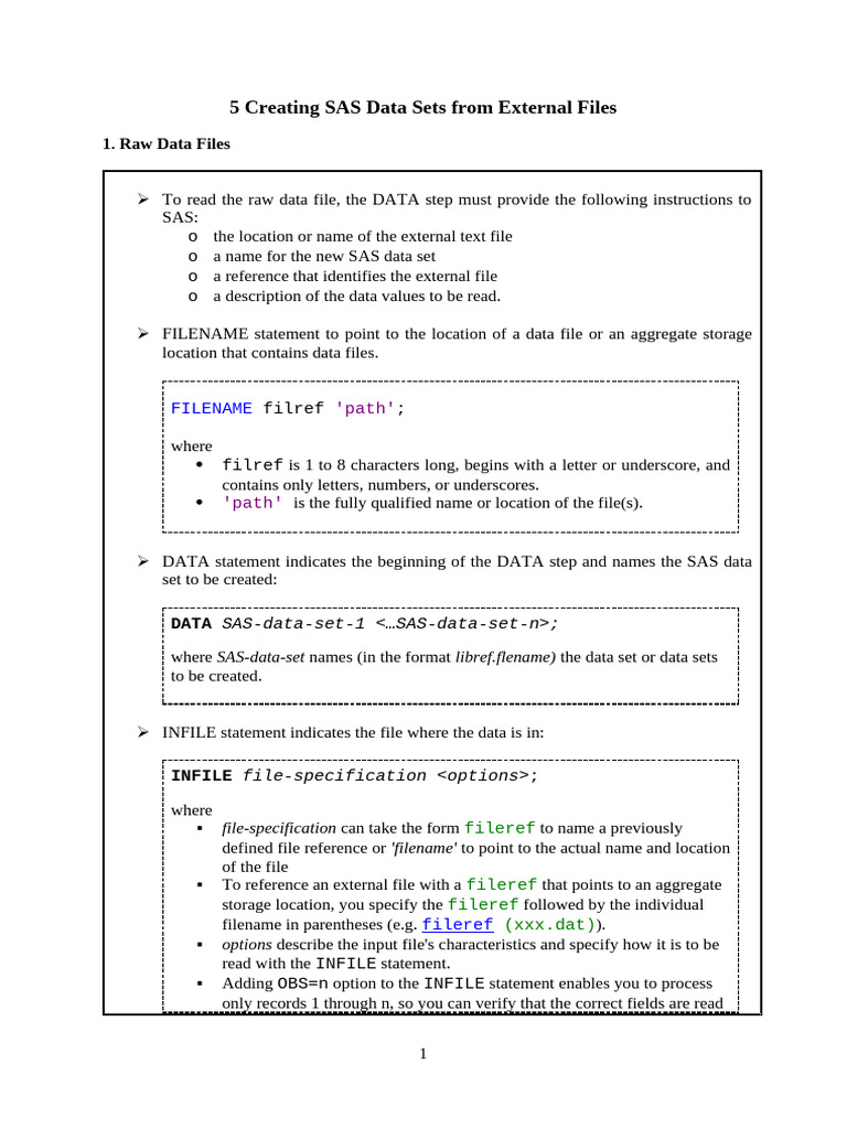 5 Creating SAS Data Sets From External Files | PDF | Microsoft Excel | Computers