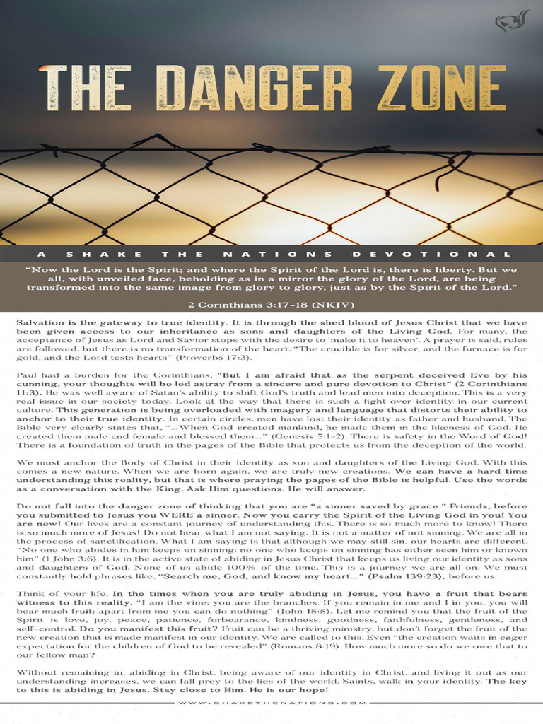 The Danger Zone | PDF