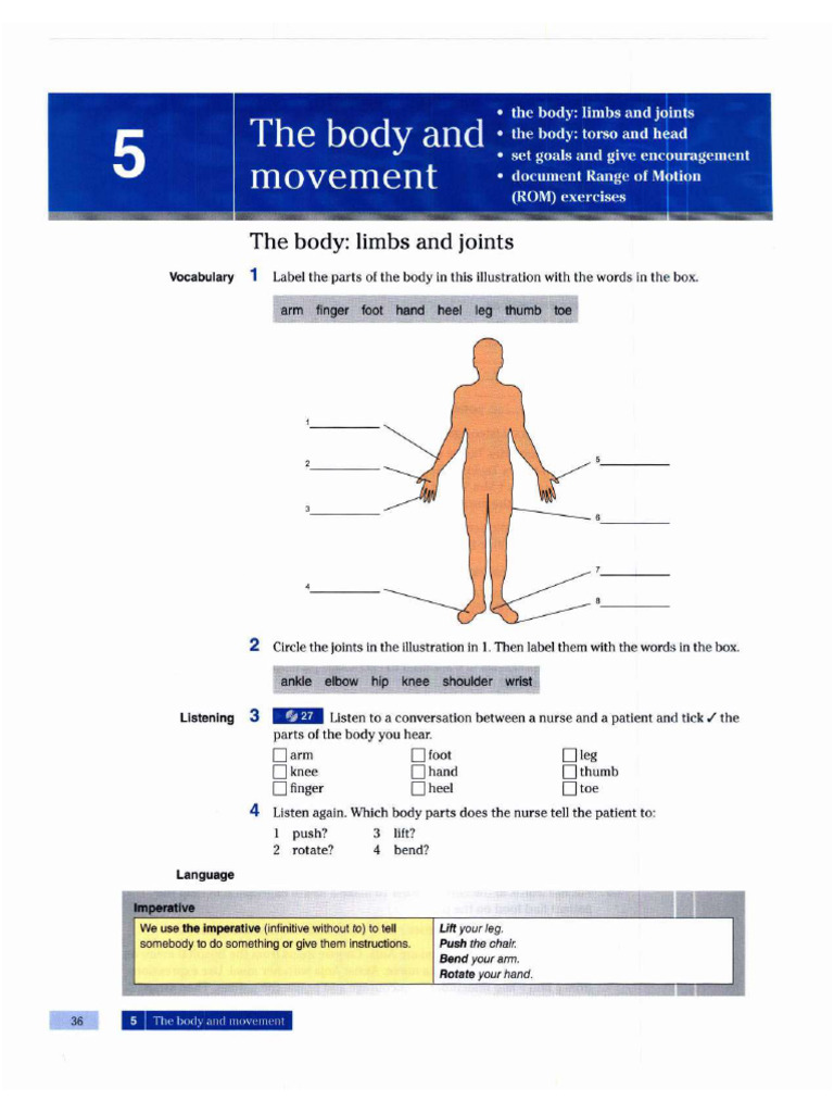 Parts of Body 1 | PDF