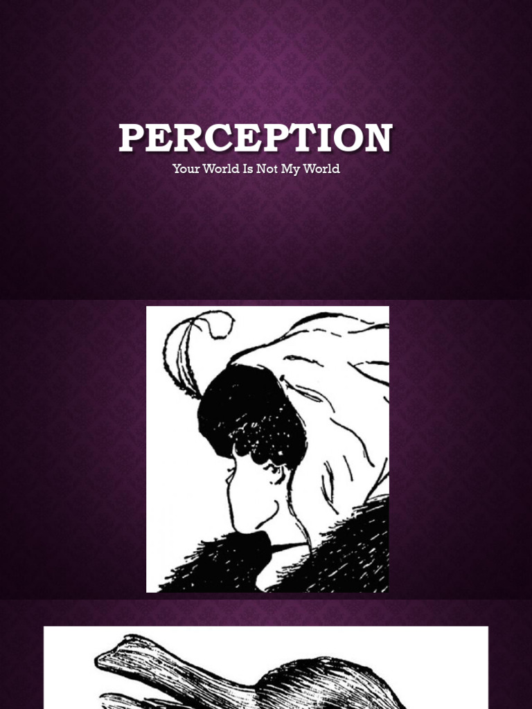 3 Perception | PDF