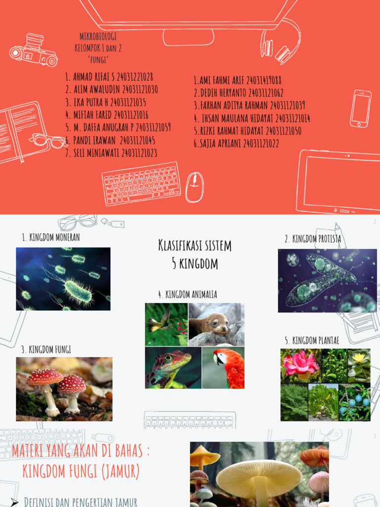 Materi Mikrobiologi Jamur | PDF