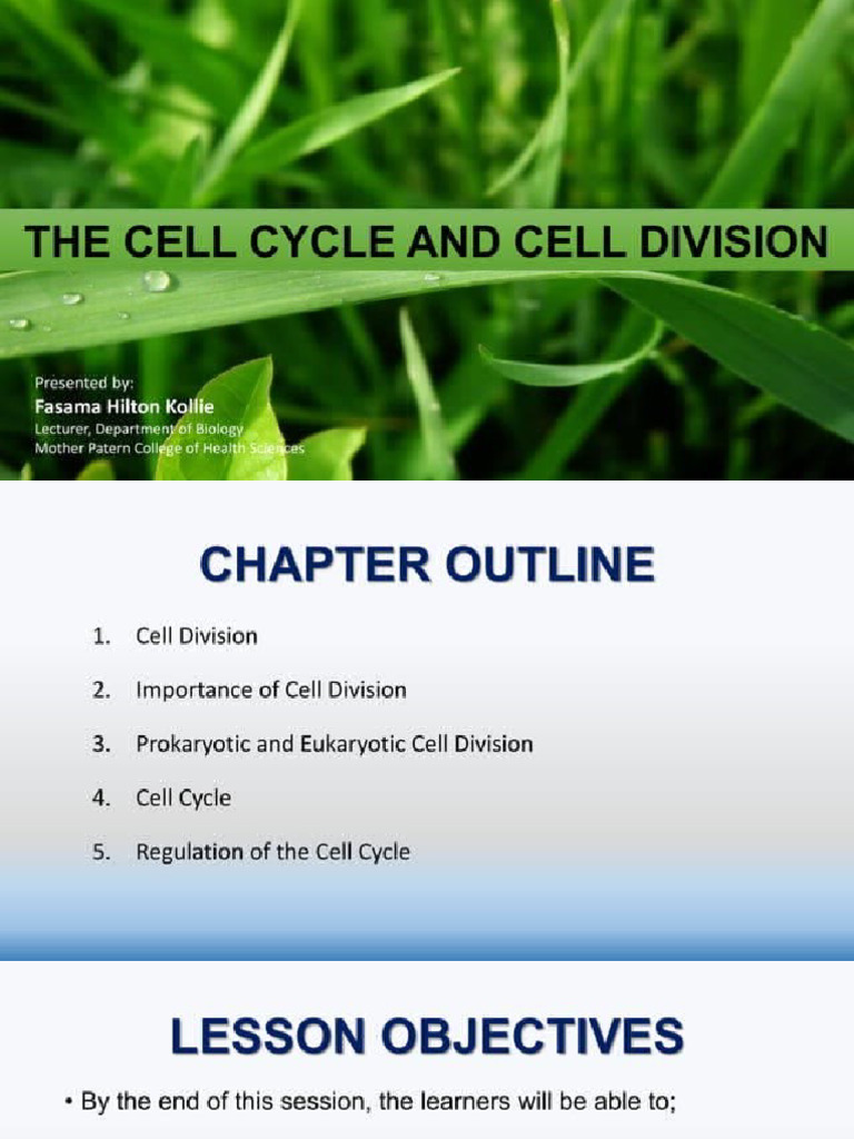 Cell Cycle | PDF