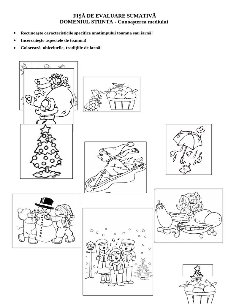 FIŞĂ DE EVAL Sum - CUN MEDIU | PDF