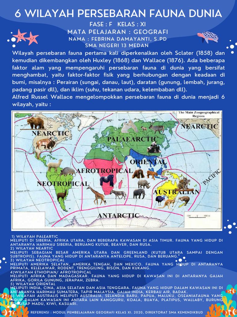 Infografis Pembagian Wilayah Fauna Dunia | PDF