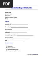 Internship Project Report Format Guide | PDF