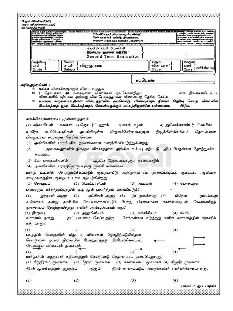 Gr10 Ta Science 2018 Term 2 | PDF