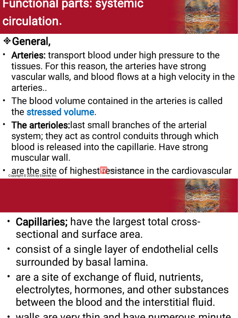 8 Microcirculation And Lymphatic Crculation Pdf