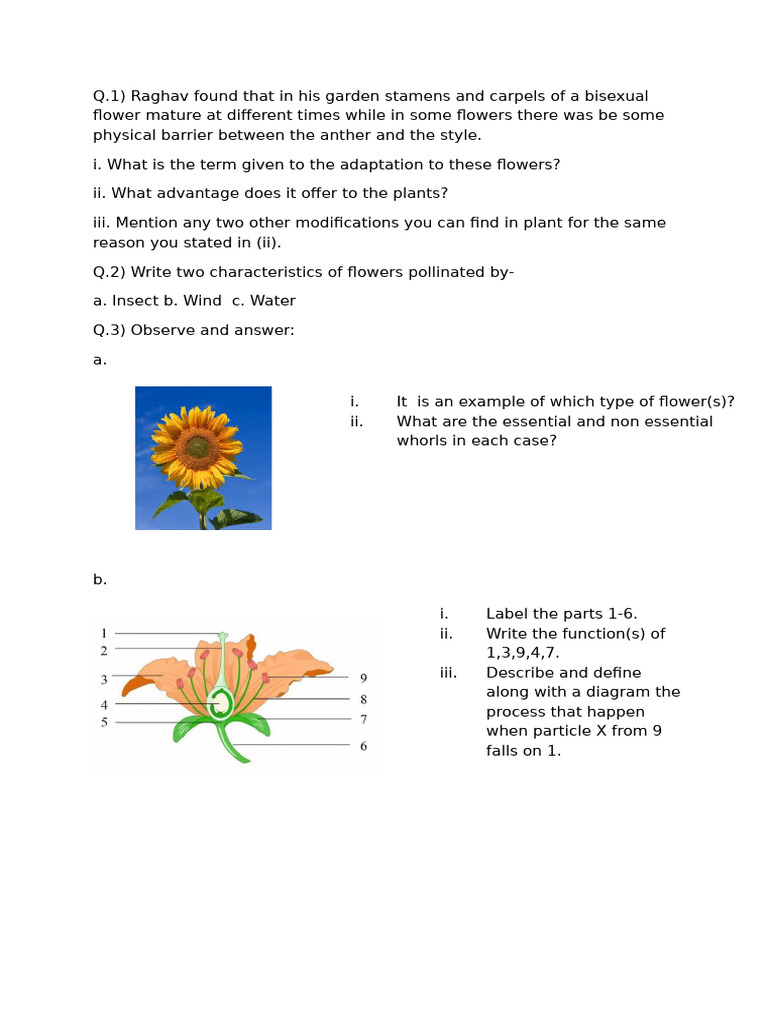 Unit Flower Worksheet | PDF