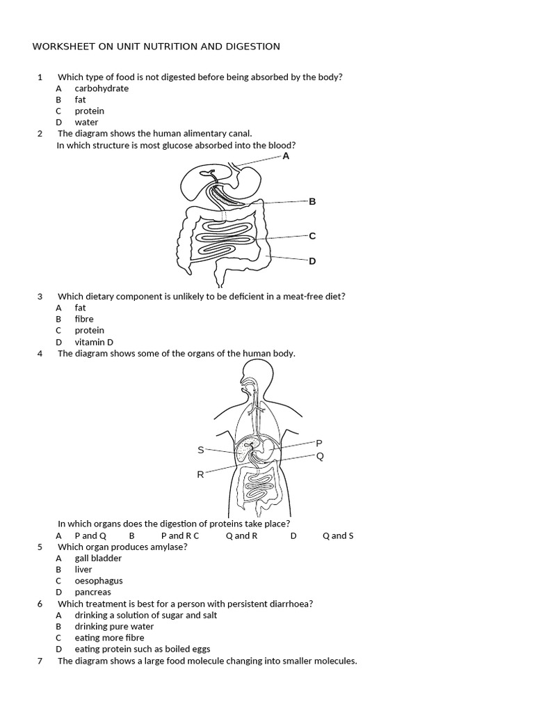 Worksheet On Unit Nutrition and Digestion 1 | PDF