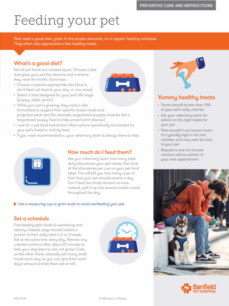 Feeding_your_pet | PDF