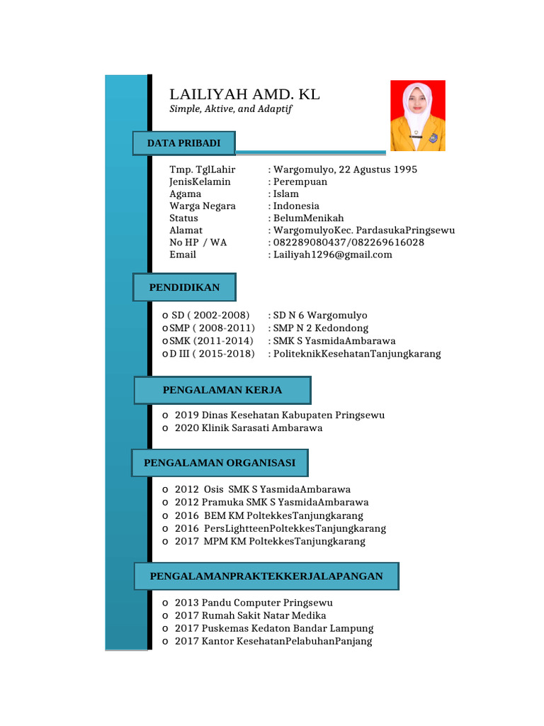 Contoh CV Bagus | PDF