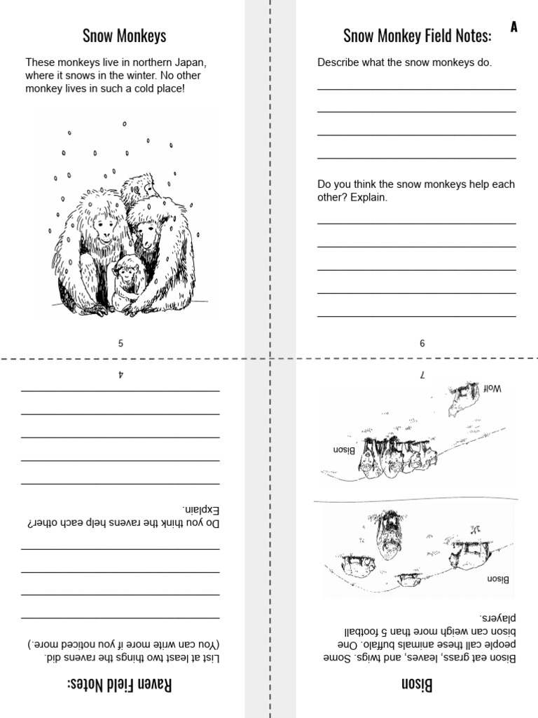 Field Journal | PDF