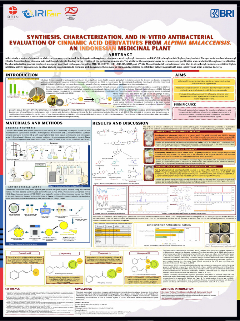 IRIFair Finalists Posters - 2024 | PDF