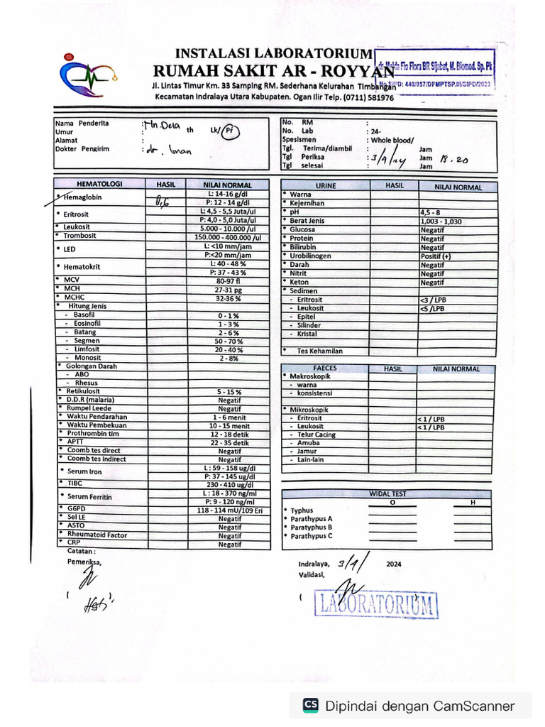 Hasil Lab Dela | PDF
