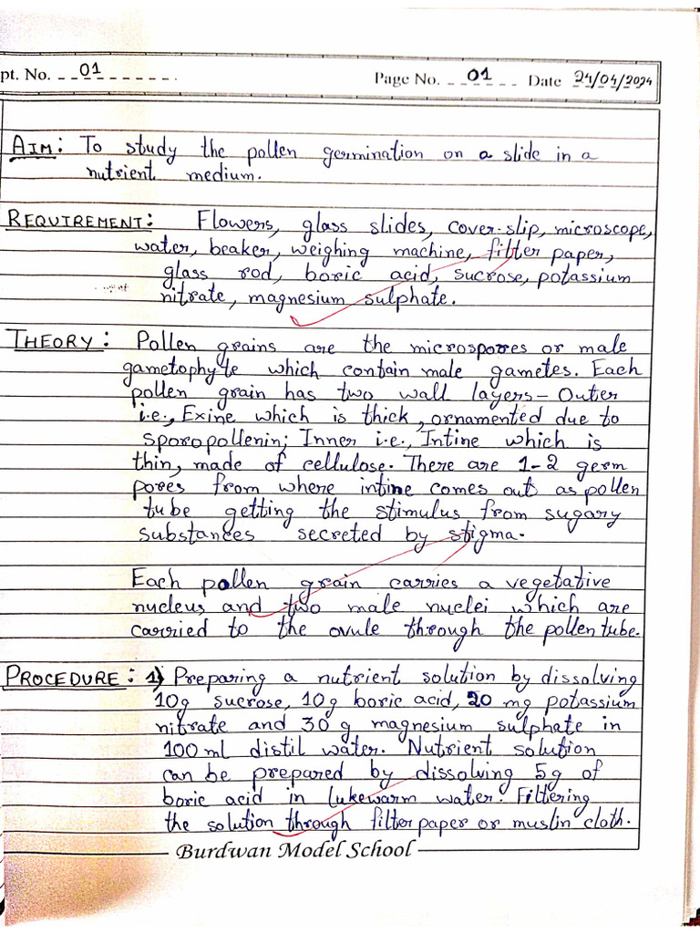 Complete Biology Lab Manual Class 12 | PDF Complete Biology Lab Manual Class 12 | PDF